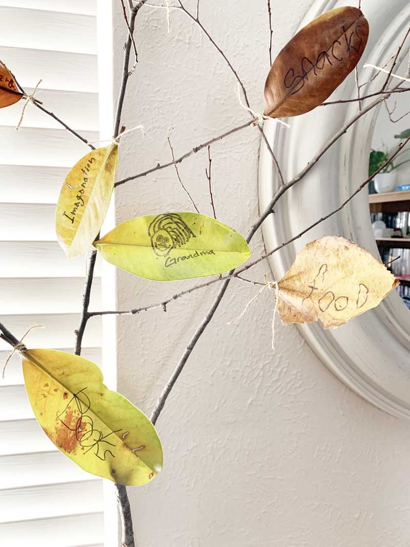 Cultivating Gratitude Through a Whimsical Gratitude Tree - Sly Spoon